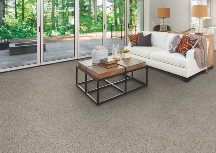 Dixie Home Carpet | Hopkins Carpet One Floor & Home